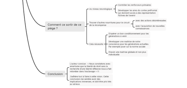 Cartographie du livre "Le bug humain", de Sébastien Bohler - Inter Ligere